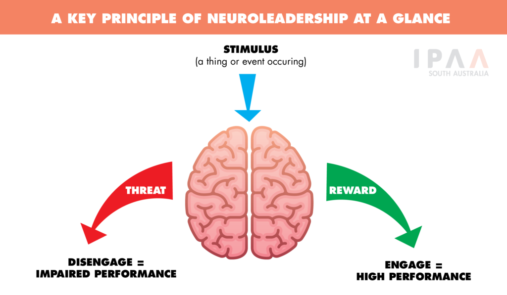 How can you apply Neuroleadership to manage others? – IPAA South ...